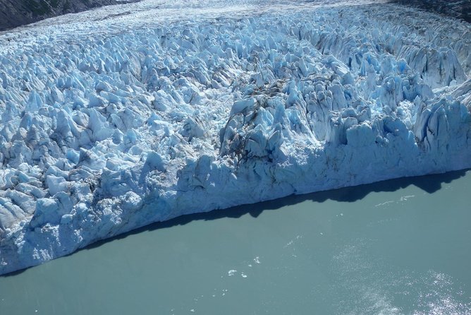 Glacier & Wildlife Discovery Tour - An In-Depth Look at the Glacier & Wildlife Discovery Tour