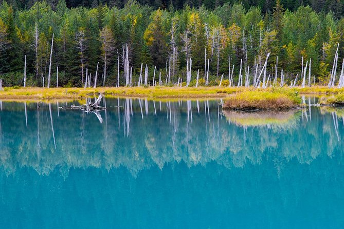 Glacier & Wildlife Discovery Tour - Practical Considerations