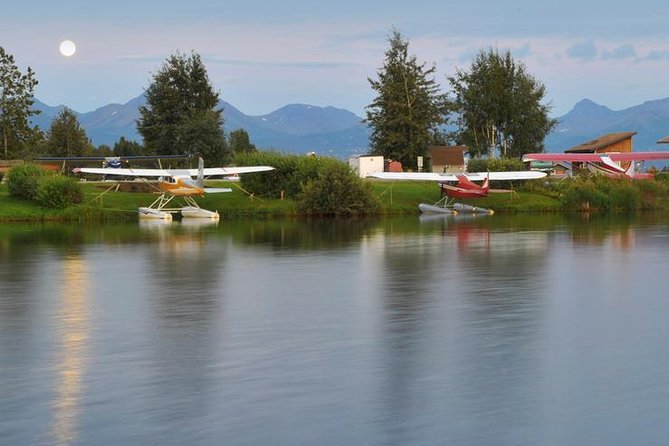 Glacier & Wildlife Discovery Tour - The Sum Up