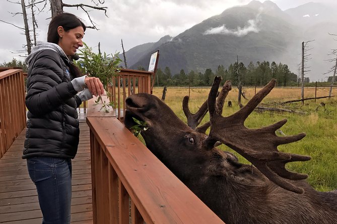 Glaciers and Wildlife: Super Scenic Day Tour from Anchorage - FAQs
