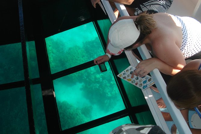 Glass-Bottom Boat Cruise from Waikoloa - An In-Depth Look at the Glass-Bottom Boat Adventure