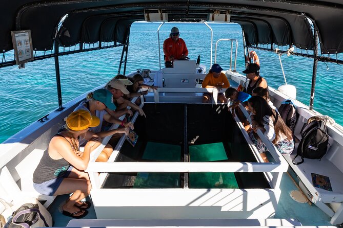 Glass-Bottom Boat Cruise from Waikoloa - The Sum Up