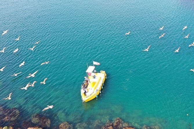 Glass Bottom Boat Ride in Redondo Beach - Practical Details and Tips