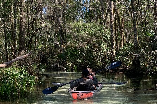 Glass Bottom Kayak Eco Tour through Rainbow Springs - Introduction