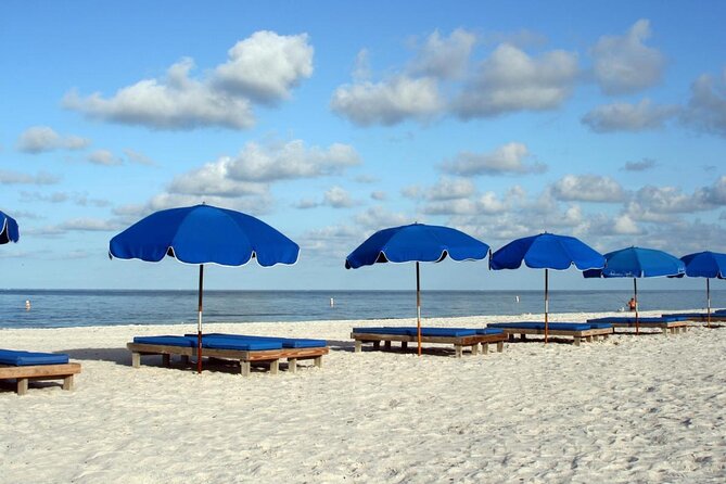 Glass Bottom Kayak Mangrove & Sandbar Adventure in St. Pete Beach - Key Points