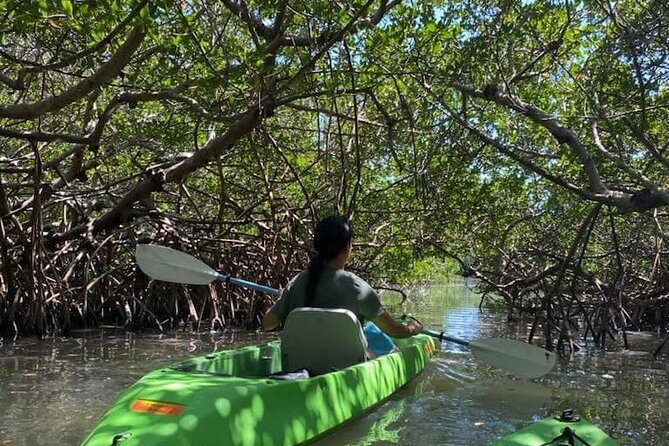 Glass Bottom Kayak Mangrove & Sandbar Adventure in St. Pete Beach - Who Will Love This Experience?