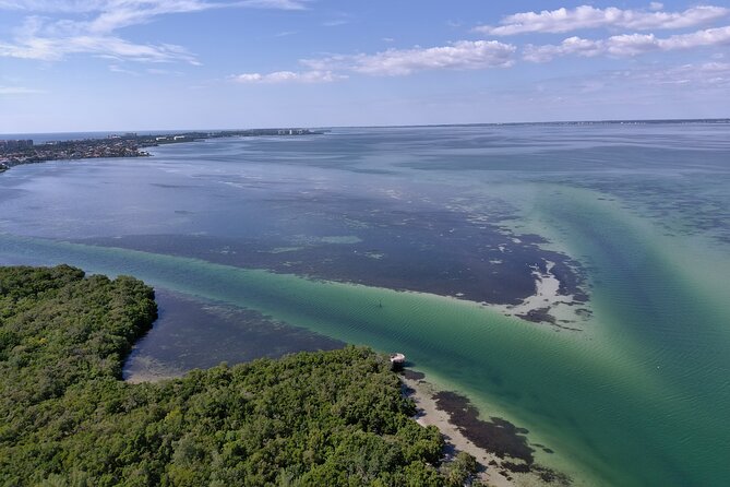 Glass Bottom Kayak Mangrove Tunnel & Sandbar Adventure Sarasota - An In-Depth Look at the Sarasota Kayaking Experience