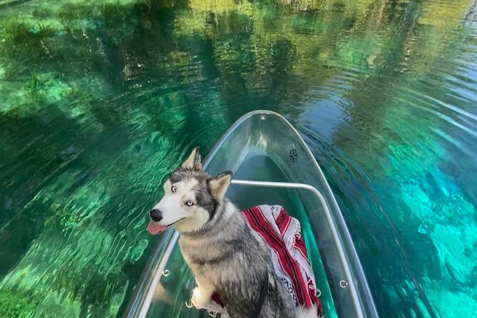 Glass Bottom Kayak Tours of Silver Springs - FAQ