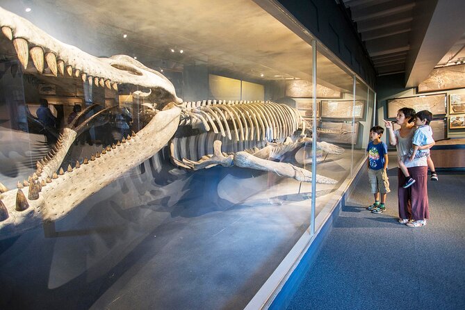 Go City: Boston Explorer Pass - Choose 2, 3, 4 or 5 Attractions - Frequently Asked Questions