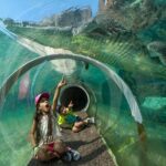 Go City: Miami Explorer Pass - Choose 2, 3, 4 or 5 Attractions - Who Should Consider This Pass?