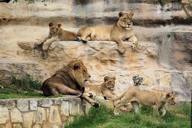 Go City San Antonio Explorer Pass: Tickets for 2-5 Attractions - FAQ