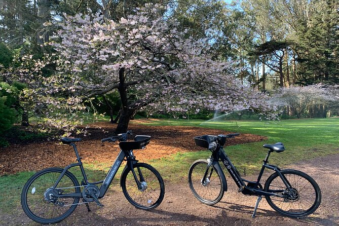 Golden Gate Park Electric Bike Rental - Overview of the Experience