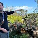 Golden Gate Park Twilight Wildlife Walking Tour - A Deep Dive Into the Experience