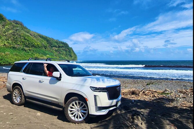 Golden Pineapples & Hidden Gems: A Private Upcountry Tour - Ocean Vodka Organic Farm and Distillery: A Sustainable Finale