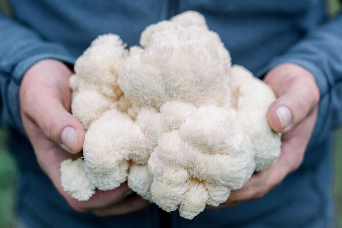 Gourmet Mushroom Farm Tour in Tennessee - What to Expect from the Gourmet Mushroom Farm Tour in Tennessee