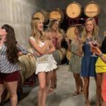 Granbury: Wine Tour with Charcuterie and Local Tastings - Exploring the Granbury Wine Scene