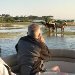 Grand Boat Tour around Chincoteague and Assateague Islands - What Reviewers Love Most