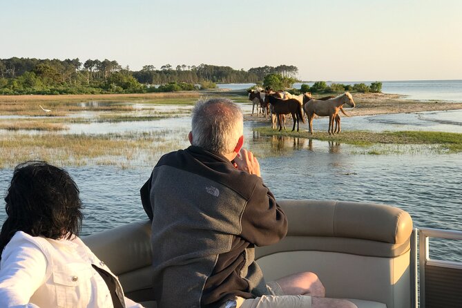 Grand Boat Tour around Chincoteague and Assateague Islands - What Reviewers Love Most