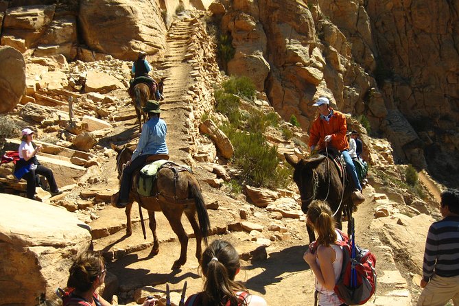 Grand Canyon Hike with Sedona and Flagstaff Hotel Pickup - Transportation and Logistics