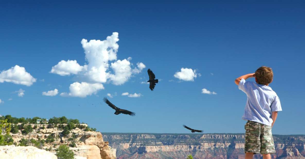 Grand Canyon: Morning Off-Road Safari with Skip the Gate - Key Points