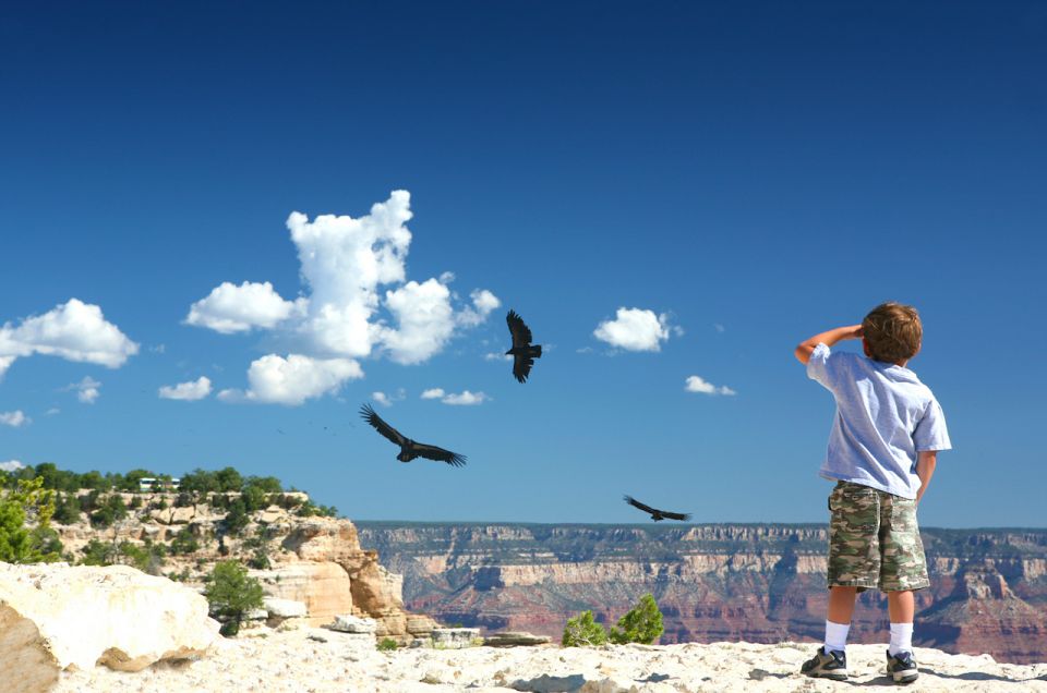 Grand Canyon: Morning Off-Road Safari with Skip the Gate - Final Thoughts