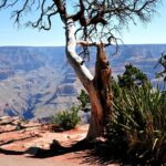 Grand Canyon National Park VIP Tour from Las Vegas - The Practicalities & Considerations