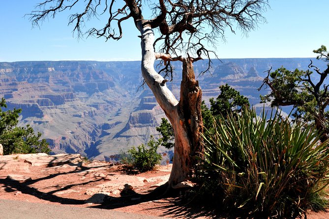 Grand Canyon National Park VIP Tour from Las Vegas - The Practicalities & Considerations