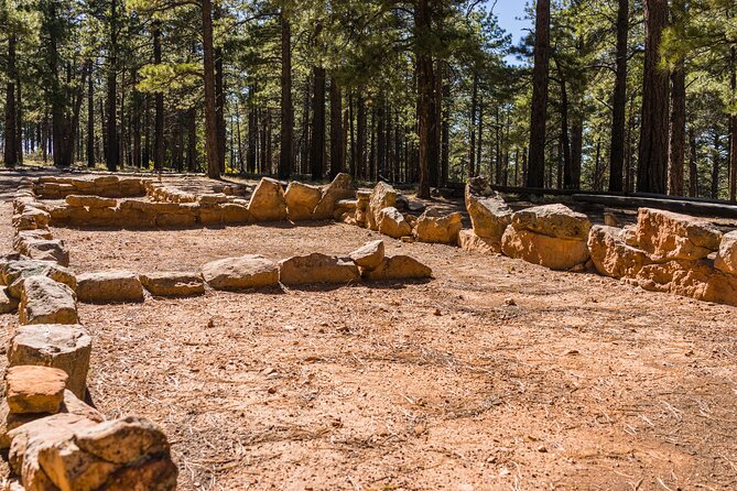 Grand Canyon North Rim Full-Day Self-Guided Tour - The Value Proposition