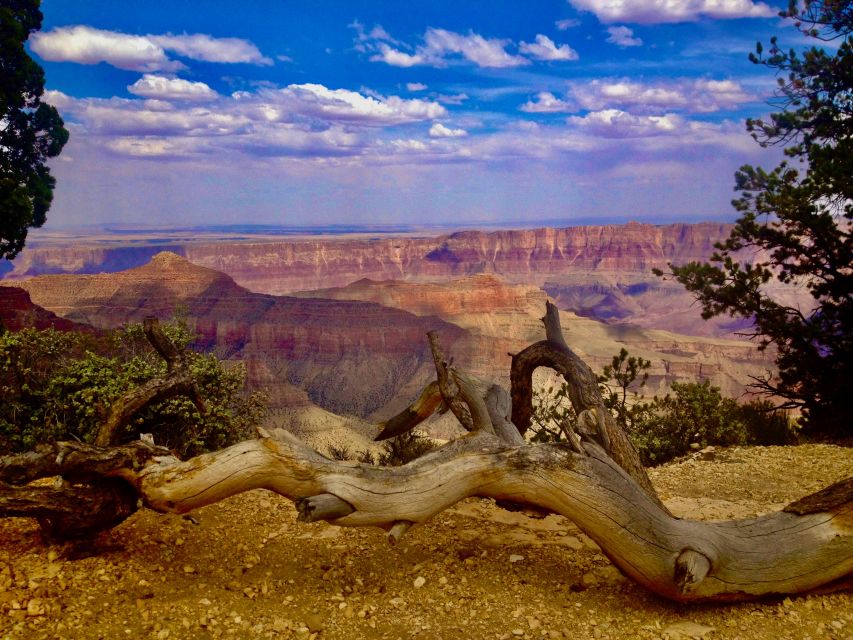 Grand Canyon: North Rim Private Group Tour from Las Vegas - Final Thoughts: Is This Tour Right for You?