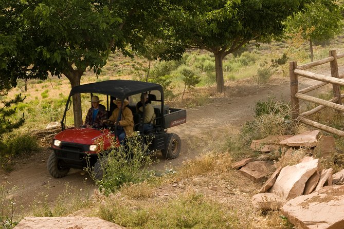 Grand Canyon North Rim Tour by Airplane with ATV or 4x4 Ride - Who Is This Tour Perfect For?