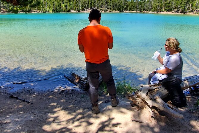 Grand Canyon of the Yellowstone Rim and Loop Hike with Lunch - The Experience in Action: What You Can Expect