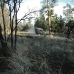Grand Canyon: Off-Road Sunset Safari with Skip-the-Gate Tour - Why This Tour Is a Great Choice