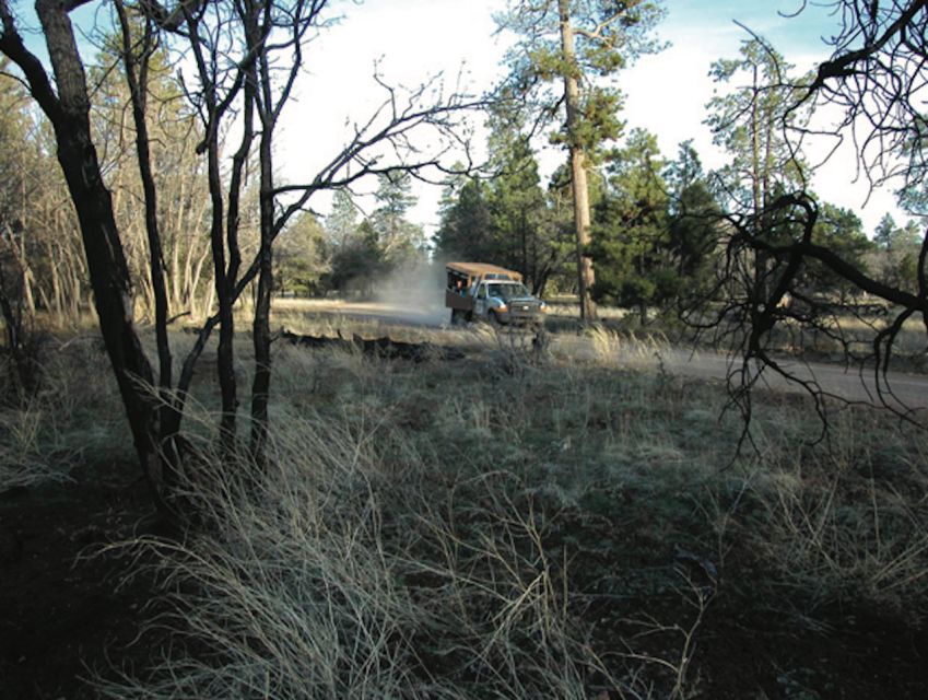 Grand Canyon: Off-Road Sunset Safari with Skip-the-Gate Tour - Why This Tour Is a Great Choice