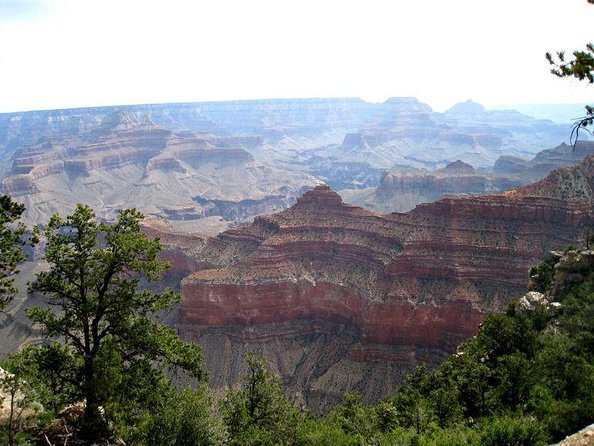 Grand Canyon South Rim and Route 66 with Lunch - The Scenic Drive and Route 66 Experience
