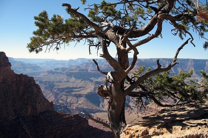 Grand Canyon South Rim Day Trip from Flagstaff - Authentic Experiences and Hidden Gems