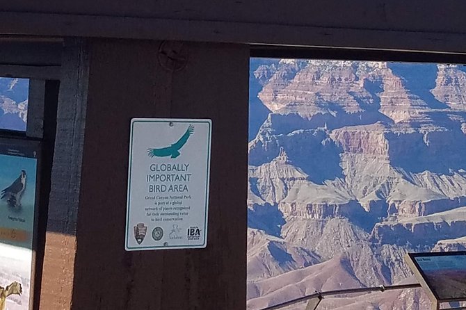 Grand Canyon Tour from Williams - Exploring the Grand Canyon from Williams: A Complete Guide to the South Rim Tour