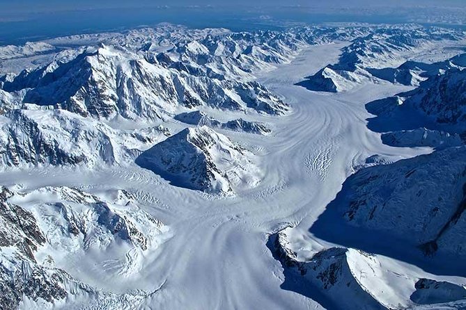 Grand Denali Flightseeing tour from Talkeetna - Authentic Insights from Reviewers