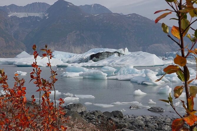 Grand Knik Helicopter Tour - 2 hours 3 landings - ANCHORAGE AREA - Safety and Comfort  