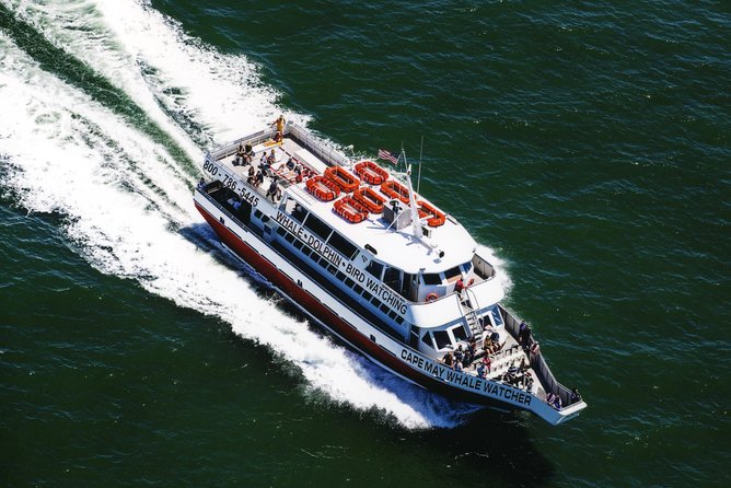 Grand Lighthouse Tour from Cape May - Why the Price Reflects Value