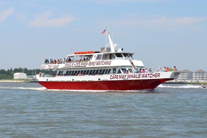 Grand Lighthouse Tour from Cape May - Final Thoughts: Is It Worth It?