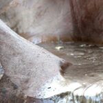 Grand Staircase Full-Day Private Tour - Practical Details and Tips