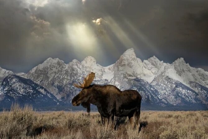 Grand Teton and Native American Petroglyph Tour - The Sum Up: Who’s This Tour Best For?