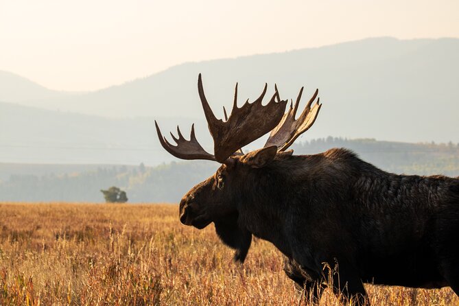Grand Teton Full Day Private Tour - An In-Depth Look at the Grand Teton Full Day Private Tour