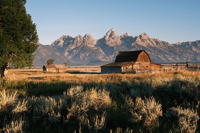 Grand Teton Half Day Private Bike Tour - Authentic Experiences and What the Reviews Reveal