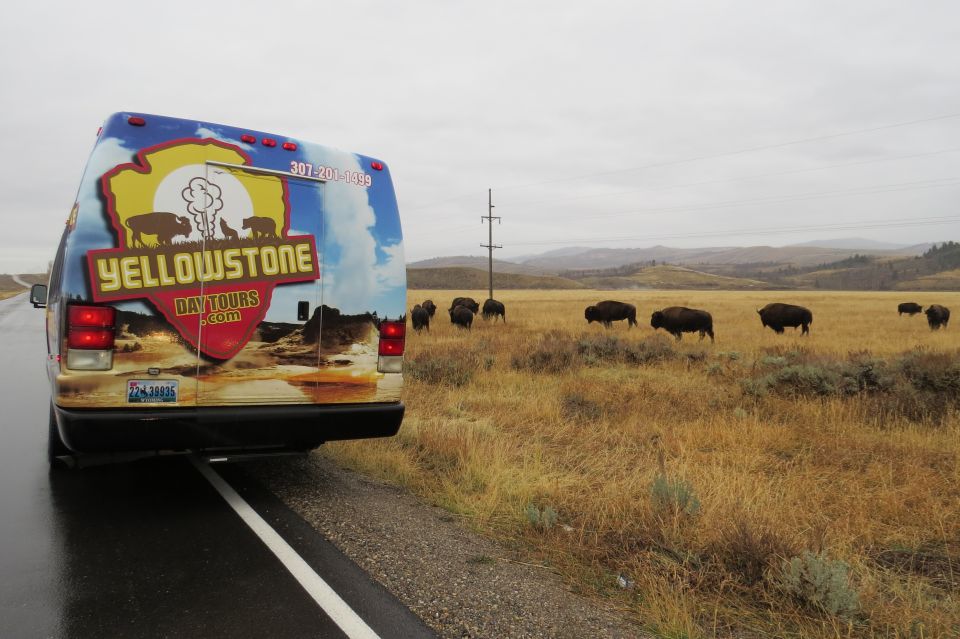 Grand Teton National Park: Full-Day Tour with Boat Ride - The Experience from the Travelers’ Perspective