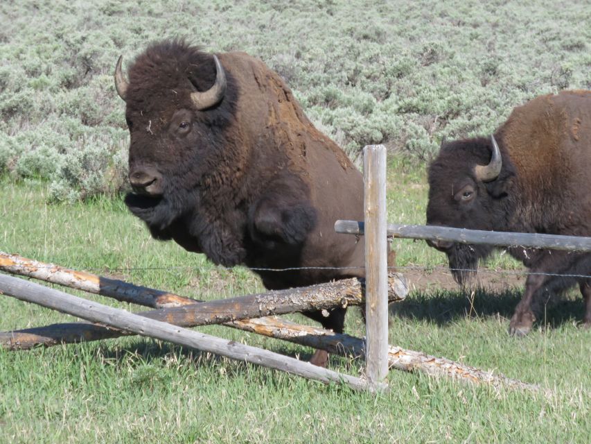 Grand Teton National Park: Full-Day Tour with Boat Ride - Final Thoughts
