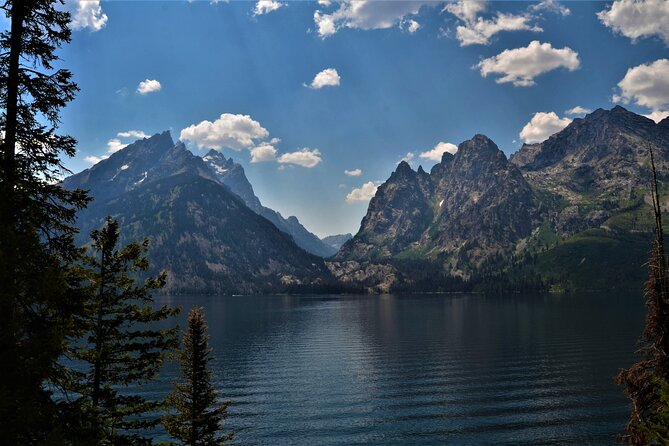 Grand Teton National Park Private Full Day Tour - The Value of the Experience