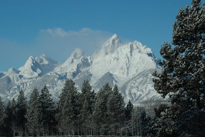 Grand Teton National Park Private Full Day Tour - FAQ