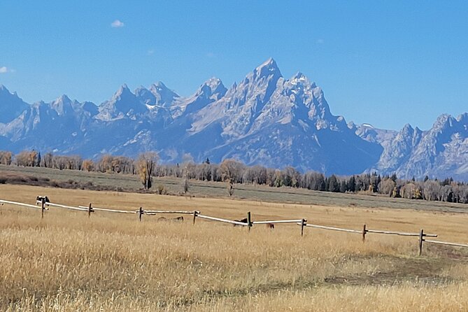 Grand Teton National Park Private Wildlife Safari - Dawn/Dusk - What Sets This Tour Apart?