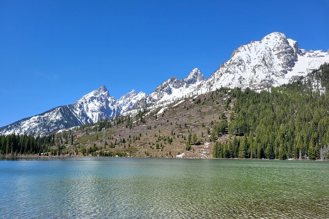 Grand Teton National Park Private Wildlife Safari - Dawn/Dusk - What Is Included and What Isn’t?
